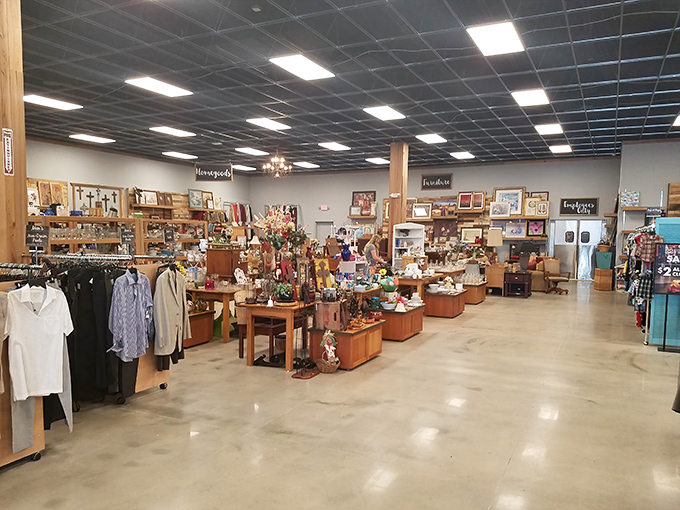 Spacious aisles and thoughtful organization transform secondhand shopping into a dignified treasure hunt for the discerning bargain seeker.