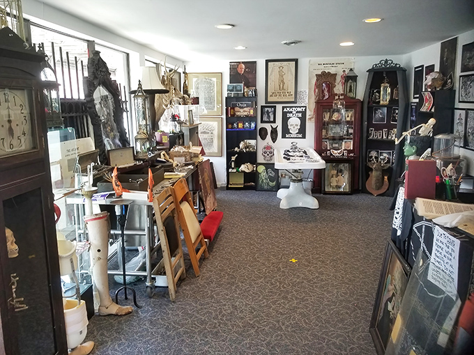 Vintage medical instruments, preserved specimens, and funeral artifacts fill every corner of this thoughtfully arranged space dedicated to death's history.