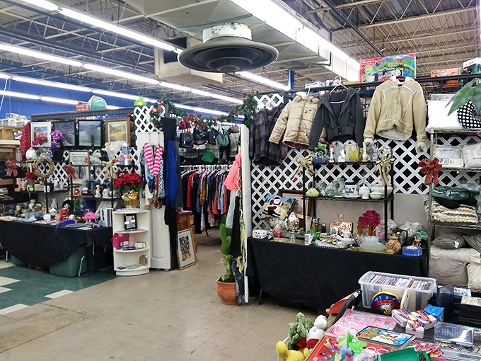 Vendor booths create a maze of possibility, each stall a personal museum curated by passionate collectors sharing their obsessions.