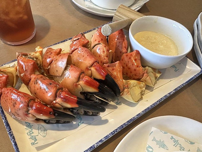 These jumbo stone crab claws aren't just seafood; they're an event, a celebration, a reason to book a flight to Florida when the season hits.