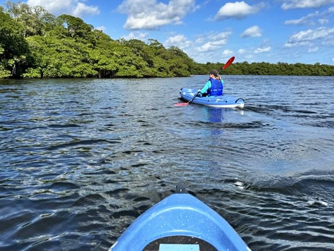 Kayaking: Gliding through crystal waters beneath a cathedral of mangroves &ndash; like Venice's canals, but with better wildlife and fewer tourists.
