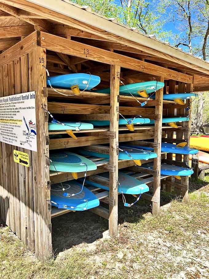 Colorful kayaks wait patiently for their next adventure, lined up like a rainbow against the wooden shelter.