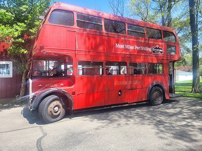 All aboard for nostalgia! This classic London double-decker brings a touch of British charm to the Michigan countryside.