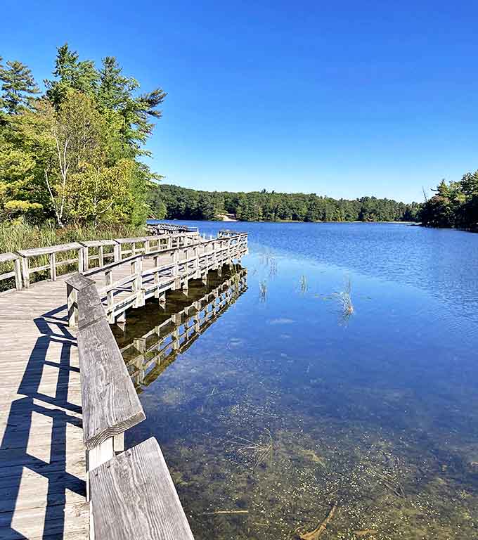 Wooden boardwalks invite exploration along mirror-like waters where trees admire their own reflection.