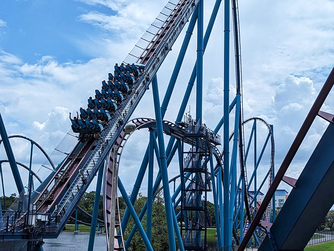 Mako Coaster: Riders crest one of nine airtime hills on Florida's tallest, fastest hypercoaster, where the minimalist restraints enhance that magical floating sensation coaster enthusiasts crave.