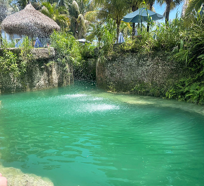 Crystal-clear turquoise waters invite you to dive in and cool off. This natural swimming hole looks Photoshopped but is 100% authentic Florida magic.