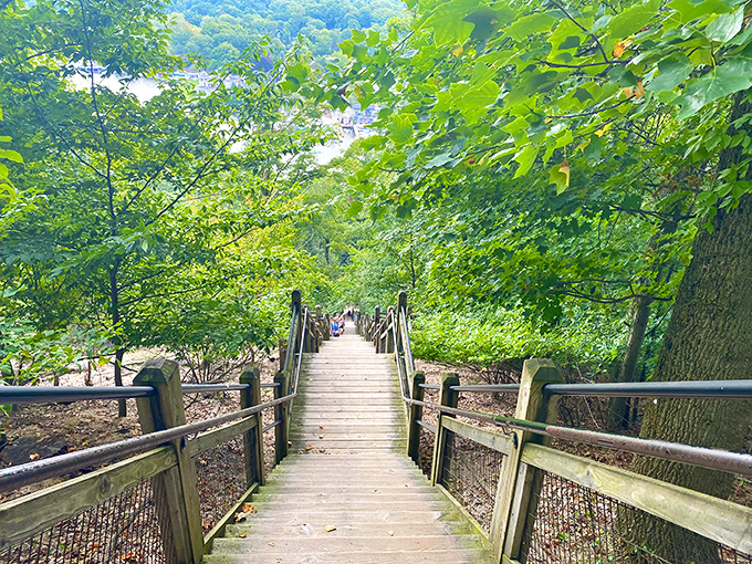 Mount Baldhead's wooden stairway isn't just a path &ndash; it's 282 steps of anticipation leading to views that make the climb worthwhile.