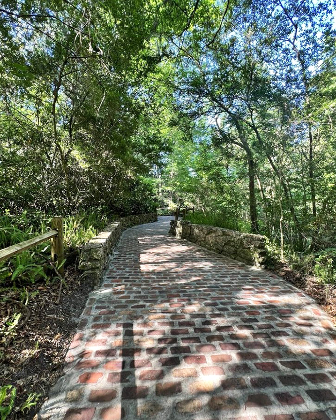 Sunlight dapples through the canopy onto this brick pathway, inviting visitors deeper into Florida's unexpected paradise.