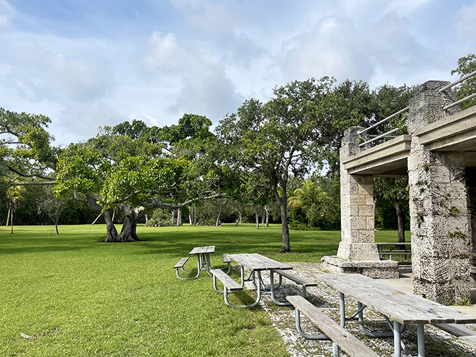 Stone picnic tables under ancient shade trees create natural gathering spots where memories are made between bites.