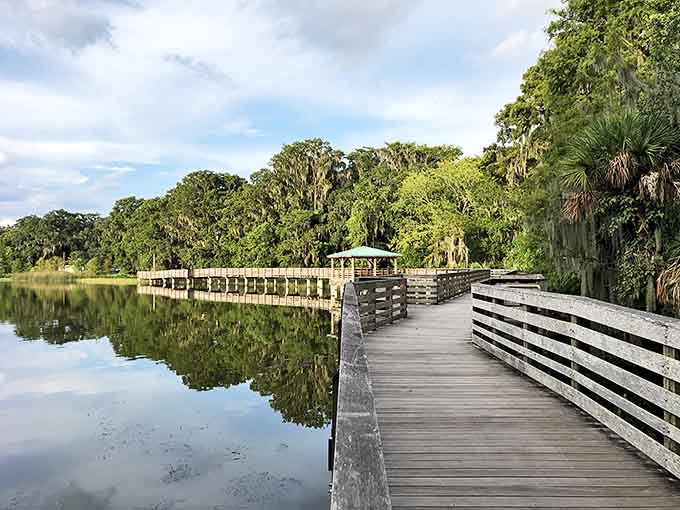 Nature's boardroom meeting &ndash; a wooden walkway through pristine wetlands where Spanish moss decorates every business casual cypress tree.