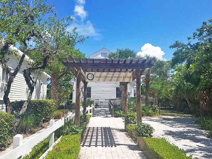 Follow the pergola into a world where "going viral" meant catching the flu, and the only thing trending was whatever gossip made it through Bailey's General Store.