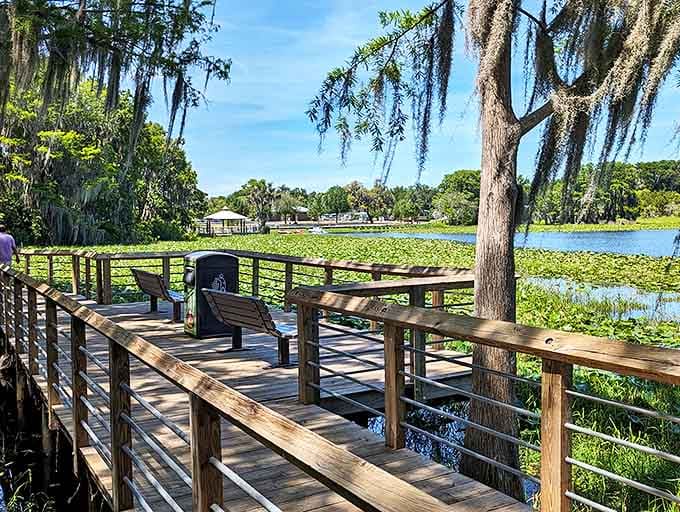 Sometimes the best seat in the house is a simple bench with a million-dollar view that costs absolutely nothing.
