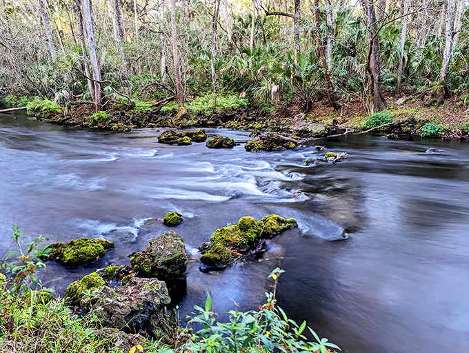 Sunlight plays across the rippling waters, creating a hypnotic light show that's better than anything you'll see at those fancy theme parks.