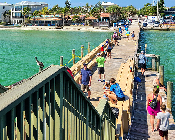 Wooden benches line the Rod and Reel Pier, offering front-row seats to nature's daily performance of birds, boats, and breathtaking views.