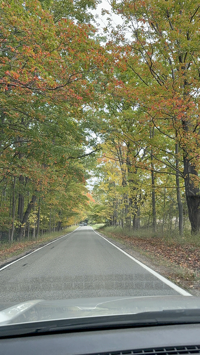 The road whispers stories of those who traveled before &ndash; Native American trails now paved but still following ancient wisdom through the Michigan wilderness. 