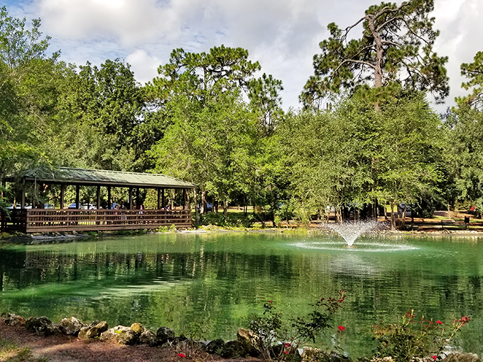 Tranquil waters reflect the lush greenery of Sholom Park &ndash; a peaceful sanctuary where Florida's natural beauty takes center stage.