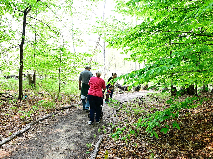 Wanderers follow the winding path through dappled sunlight, each step revealing new wonders in this woodland sanctuary.