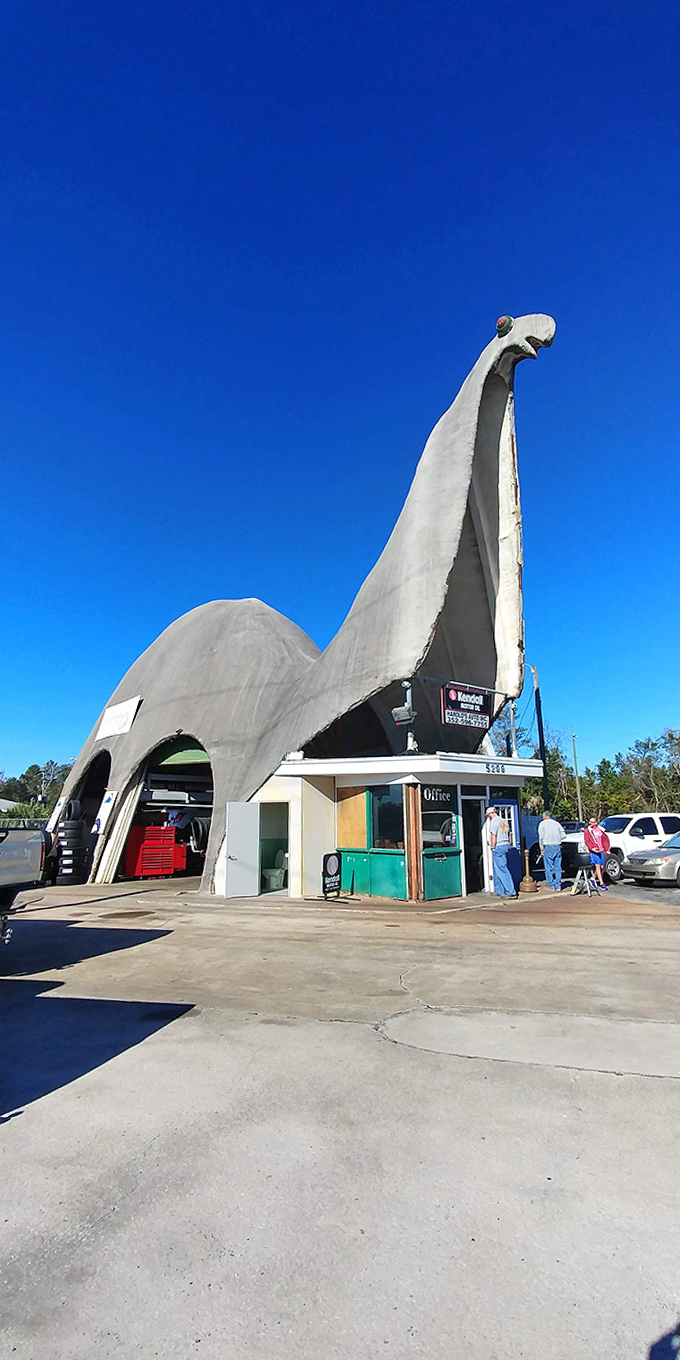 Against the brilliant blue Florida sky, this dinosaur's graceful neck stretches skyward, a landmark visible from blocks away.