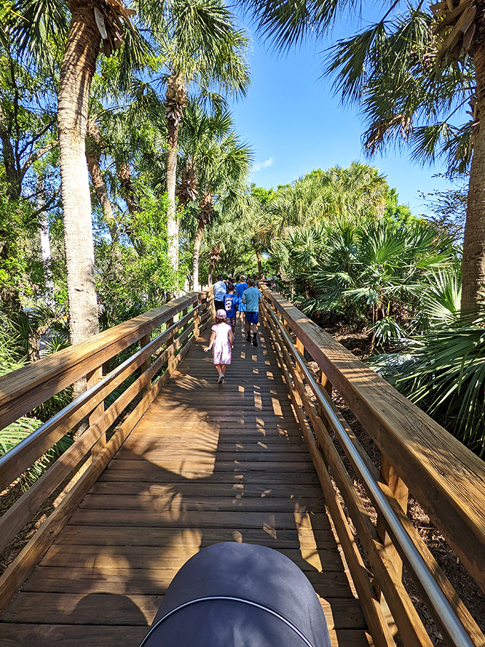 Families discover that no video game can compete with the thrill of spotting wildlife in their natural habitat&mdash;nature's entertainment center.