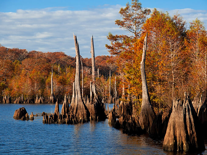 Autumn transforms the Dead Lakes into a canvas of russet and gold, the perfect backdrop for a peaceful paddle.