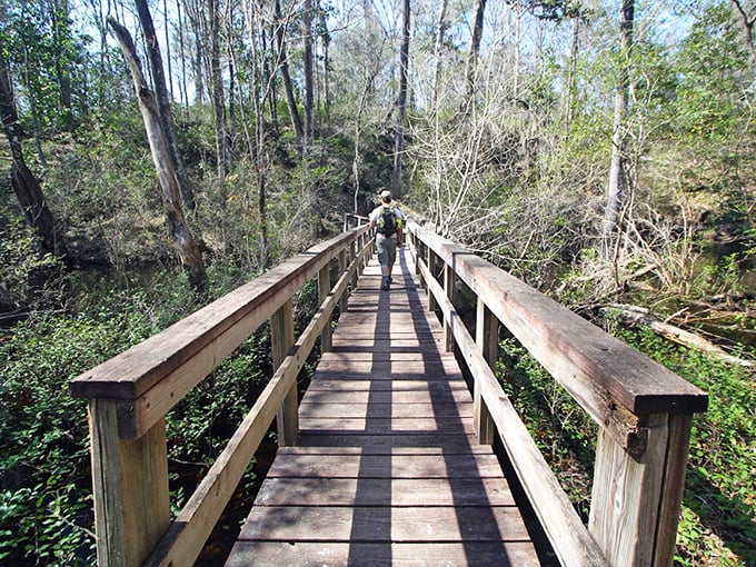 This wooden boardwalk invites explorers deeper into the forest's secrets, promising discoveries ahead.