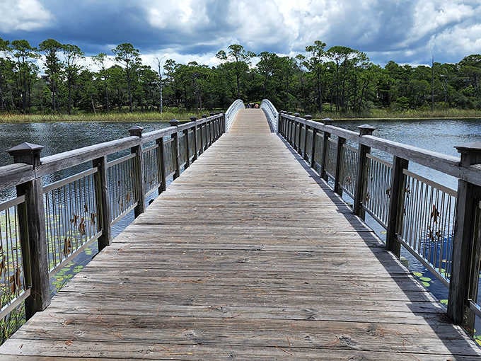 Wooden pathways invite exploration through dense mangrove forests, offering safe passage through Florida's wild heart without getting your feet wet.