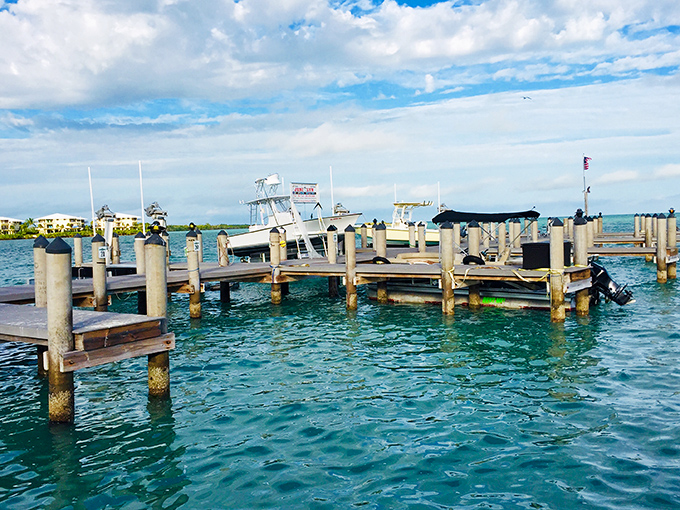 Dockside dreams in Marathon – where boats get better parking spots than cars and fish practically jump onto your hook.