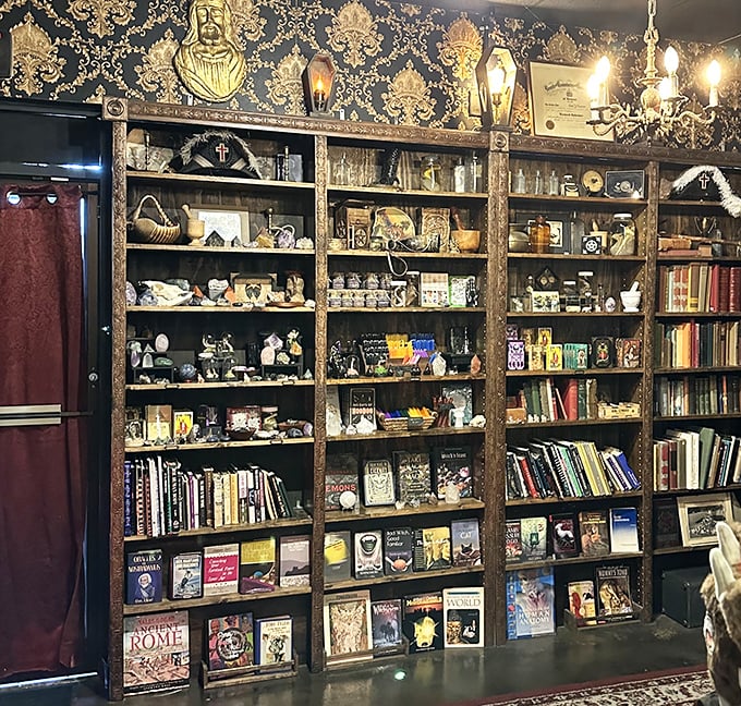 Floor-to-ceiling bookshelves house leather-bound tomes and arcane knowledge, creating a bibliophile's dream against rich damask wallpaper.