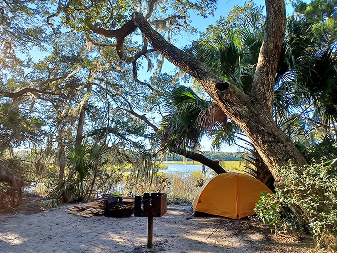 Camping beneath ancient oaks draped in Spanish moss offers front-row seats to nature's nightly symphony &ndash; no ticket required.