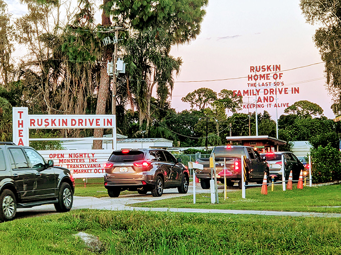 Cars line up like eager moviegoers themselves, each finding the perfect spot for an evening under the stars.