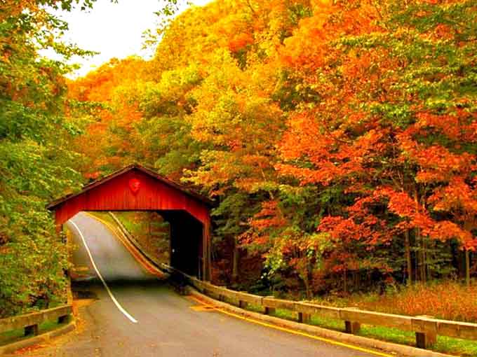 This covered bridge looks like it wandered out of a postcard, proving that Michigan's charm extends beyond the beaches.