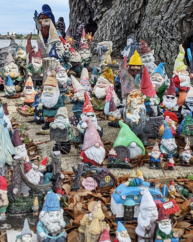 A colorful congregation of gnomes holds court at the tree's base, each with their own personality and apparent social standing in gnome society.