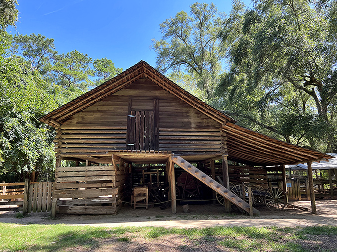 History comes alive in this preserved log barn, where modern visitors can glimpse the rugged realities of Florida's agricultural past.