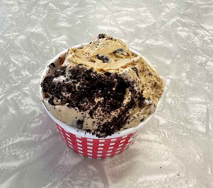 This isn't that airy, melts-before-you-can-Instagram-it nonsense. Ray's serves proper ice cream with substance, character, and enough butterfat to make your cardiologist wince.