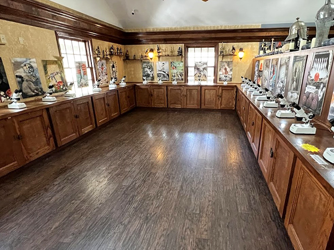 Each viewing station features a high-quality microscope positioned over tiny masterpieces, transforming visitors from passive observers to active explorers.