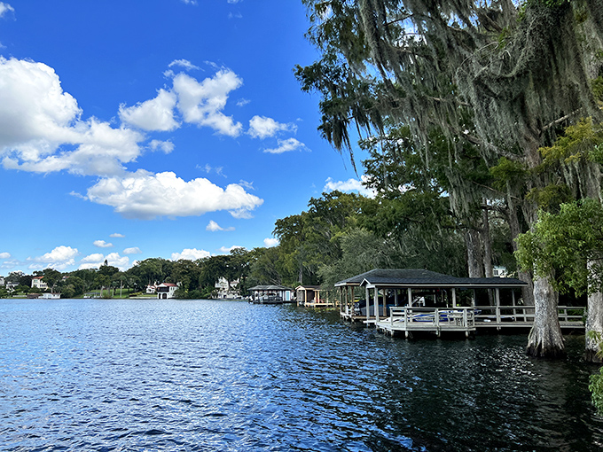 Lake Maitland's mirror-like surface reflects clouds and cypress trees, creating a double dose of Florida beauty.