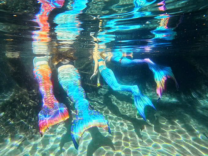 Colorful tails transform swimmers into a vibrant underwater community, creating friendships as bright as their shimmering fins.