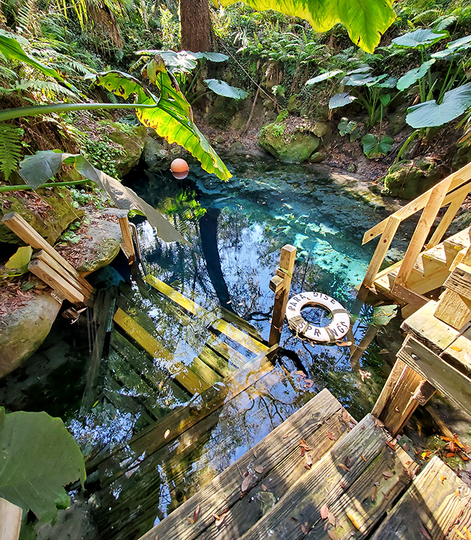 Nature's perfect swimming hole &ndash; this natural sinkhole cradles waters so clear you'd swear someone forgot to put the water in.