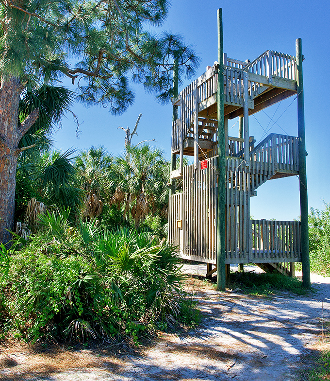 This multi-level observation tower rewards climbers with breathtaking panoramic views of the Gulf and surrounding wilderness &ndash; worth every step to the top!