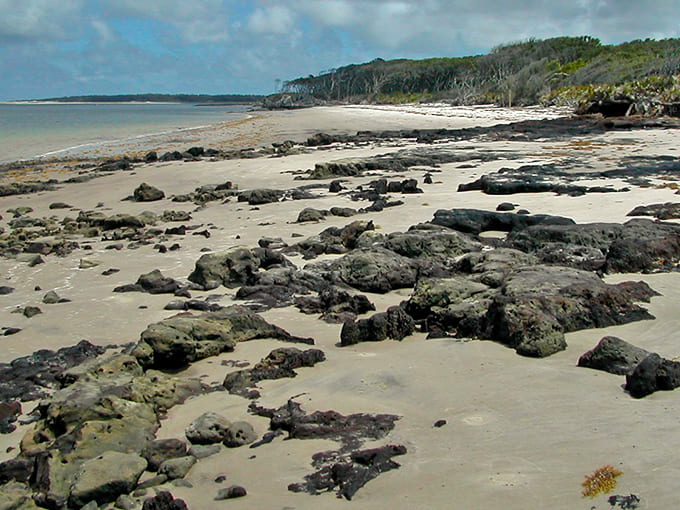 Geological wonders emerge at low tide, revealing dark rocks that create natural tide pools teeming with tiny marine treasures.