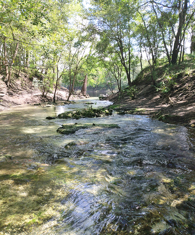 Shallow limestone shoals create natural massage beds for the river, bubbling and gurgling like nature's own spa treatment.
