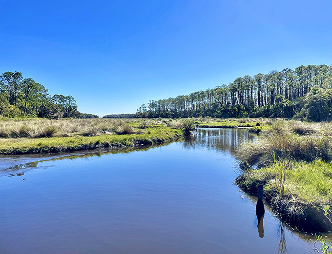 Tranquil waters reflect the pristine landscape at Bulow Creek, where time seems to slow to the gentle rhythm of nature.