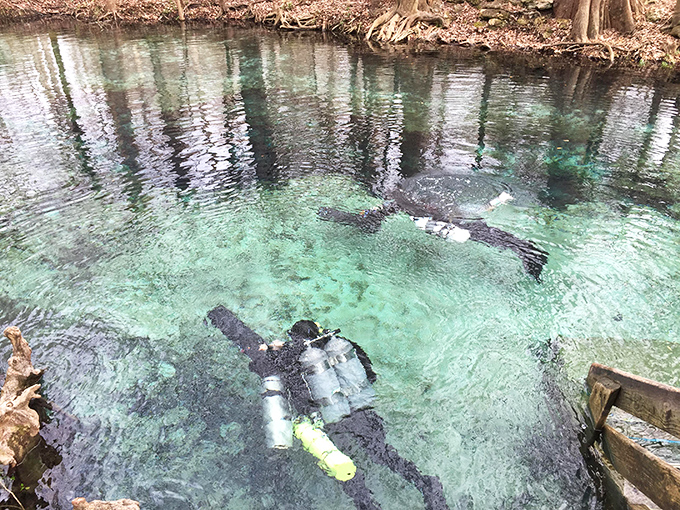 Underwater explorers discover what lies beneath – a limestone world that's been quietly stunning for millennia.