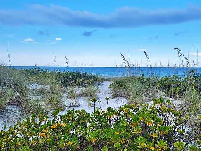 Finding your own secluded spot here is easier than finding a parking space at the mall during the holidays, and infinitely more rewarding.