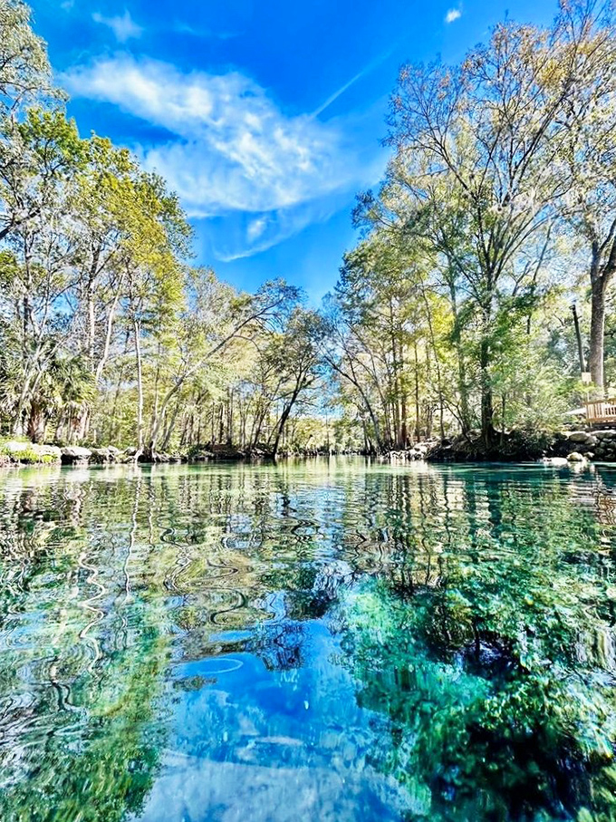 Mirror-like reflections double the beauty at this serene spring, where cypress trees stand guard over waters so clear they seem almost invisible.