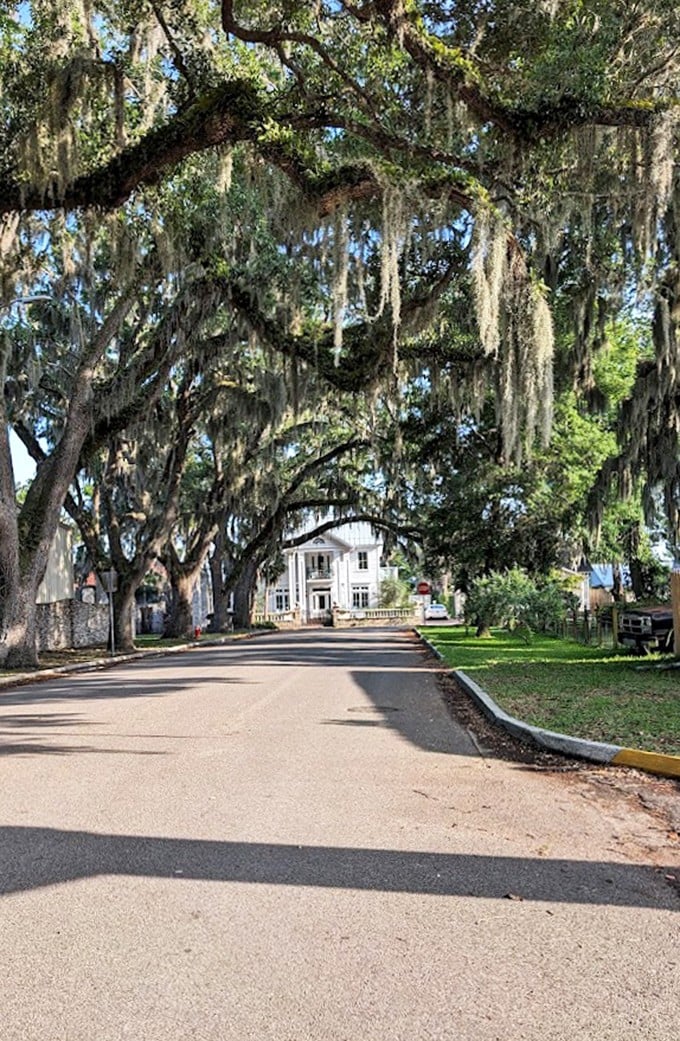 Dappled sunlight creates an ever-changing mosaic on the pavement, turning an ordinary street into something from a fairytale.