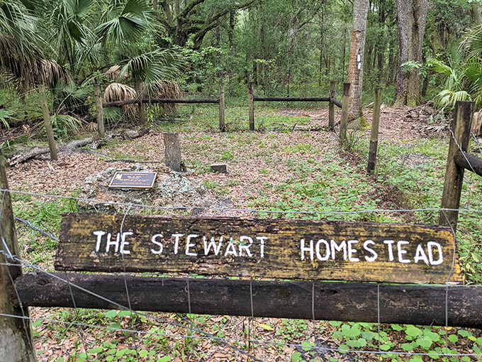 "The Stewart Homestead" – simple white letters on weathered wood mark this forgotten piece of Florida history.