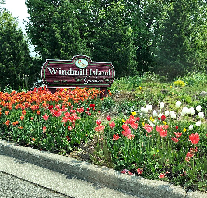 Signage: The welcoming entrance sign, surrounded by a riot of tulips, promises the Dutch adventure that awaits beyond.