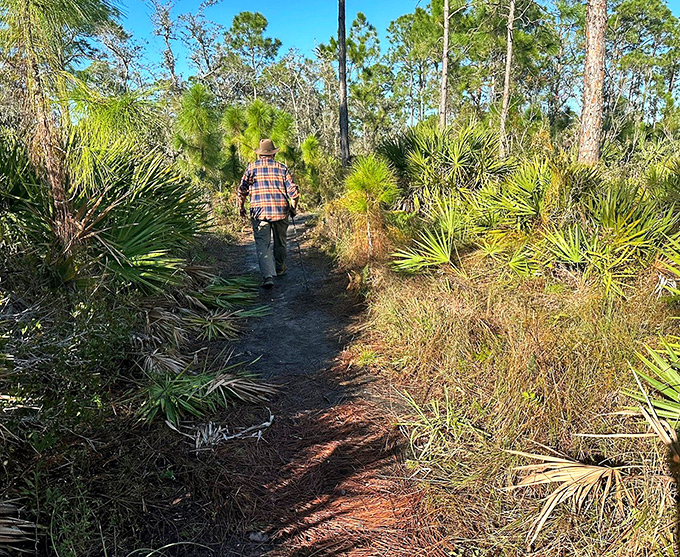 Winding through palmettos and pines, this natural pathway feels like stepping into Florida's wild past, just with better footing.
