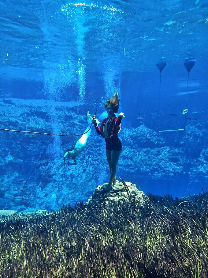
Scuba gear and training bubbles reveal the behind-the-scenes reality of mermaid performances &ndash; a blend of theatrical magic and genuine aquatic skill.